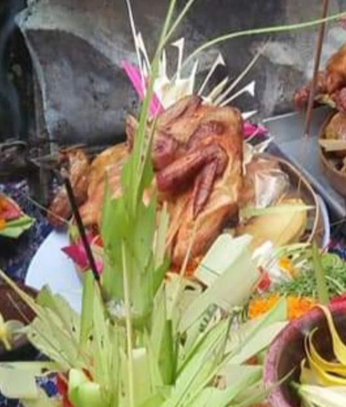Jerimpen Tebog