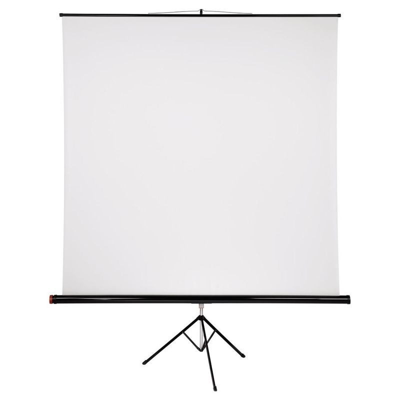 Projector Screen Datalite Tripod Screen 70"