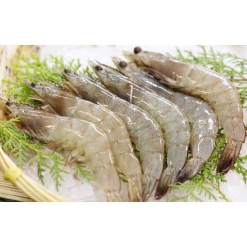 Udang Basah Super
