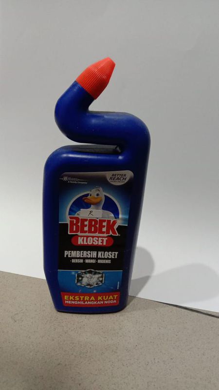 Pembersih Kloset Bebek Kloset