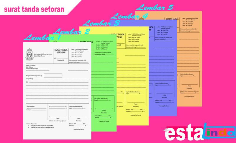 CETAK SURAT TANDA SETORAN (STS)