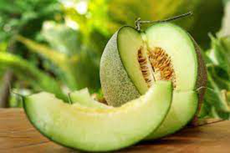 MELON