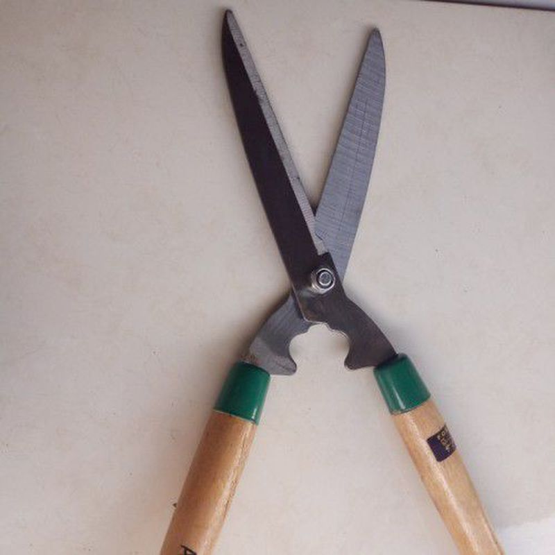 Gunting Pangkas Tanaman