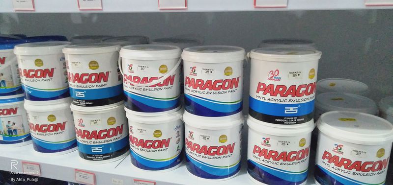 Paragon interior paint