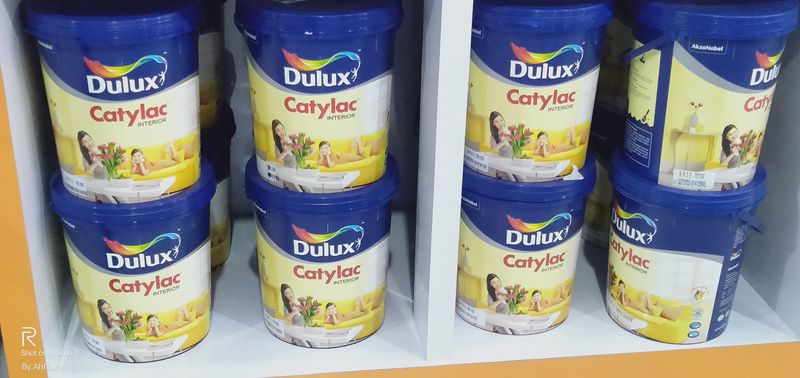 Dulux Catylac interior