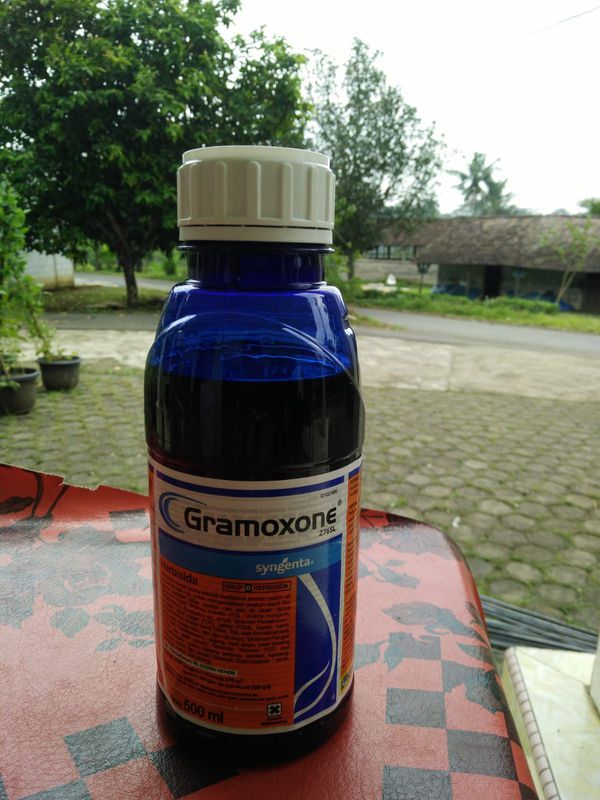 Herbisida Gramoxone