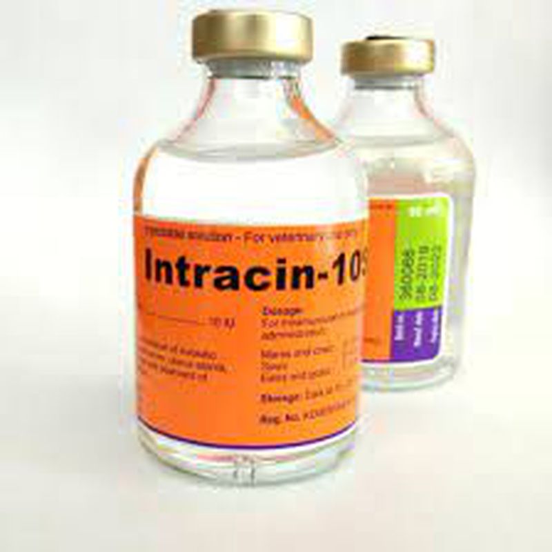 Intracin - 10
