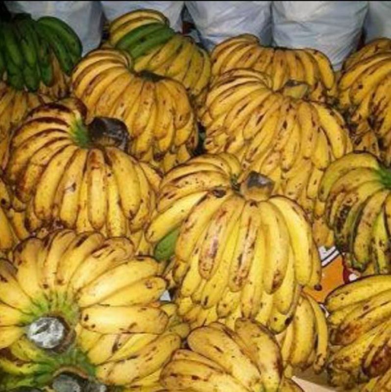 Pisang Barangan