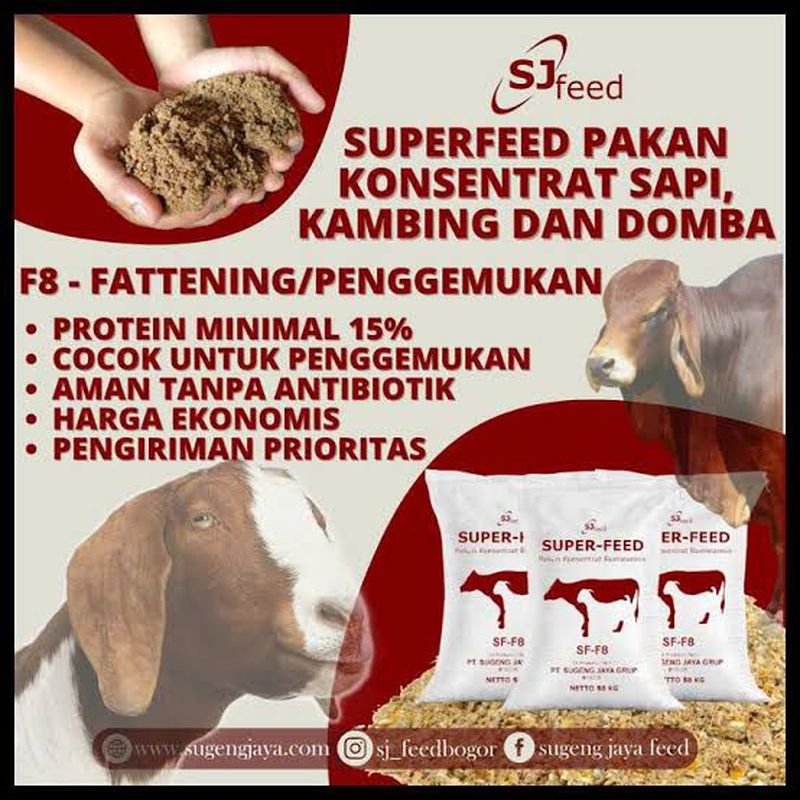 Superfeed Pakan Sapi Kambing dan Domba