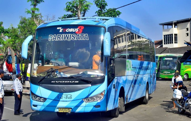 Sewa Bus Medium 30/35 Seat - Standar