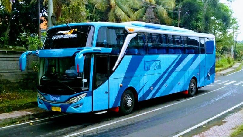 Sewa Bus Besar 40/45 Seat - Tour Standar