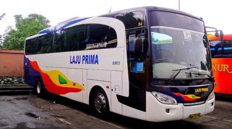 Jasa Sewa Bus Kapasitas 48 Sheet - Unit/Hari
