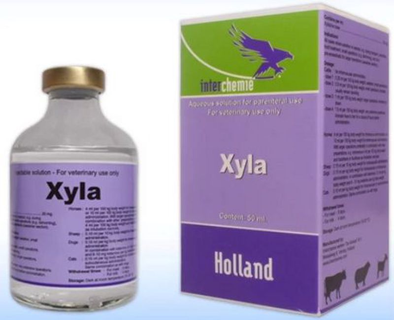 Xyla Xylazine