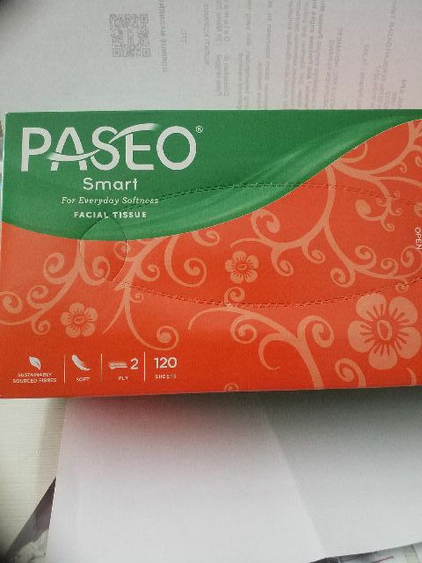 Tissue Paseo Box 120 sheets