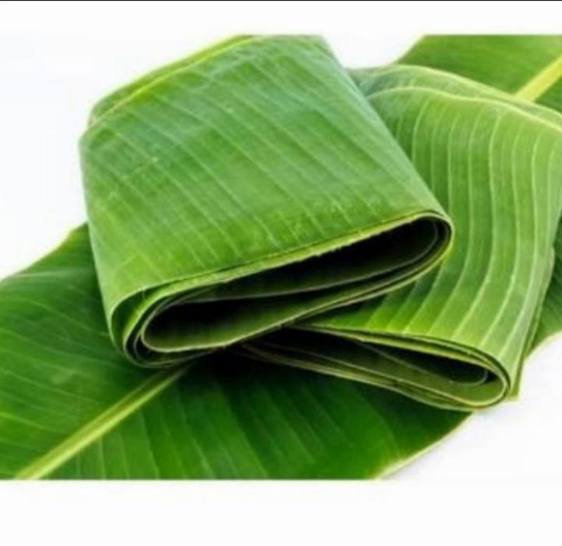 Daun Pisang