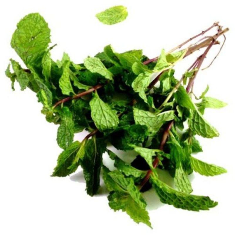 DAUN MINT