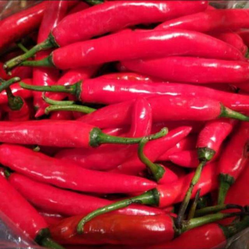 Cabe Merah