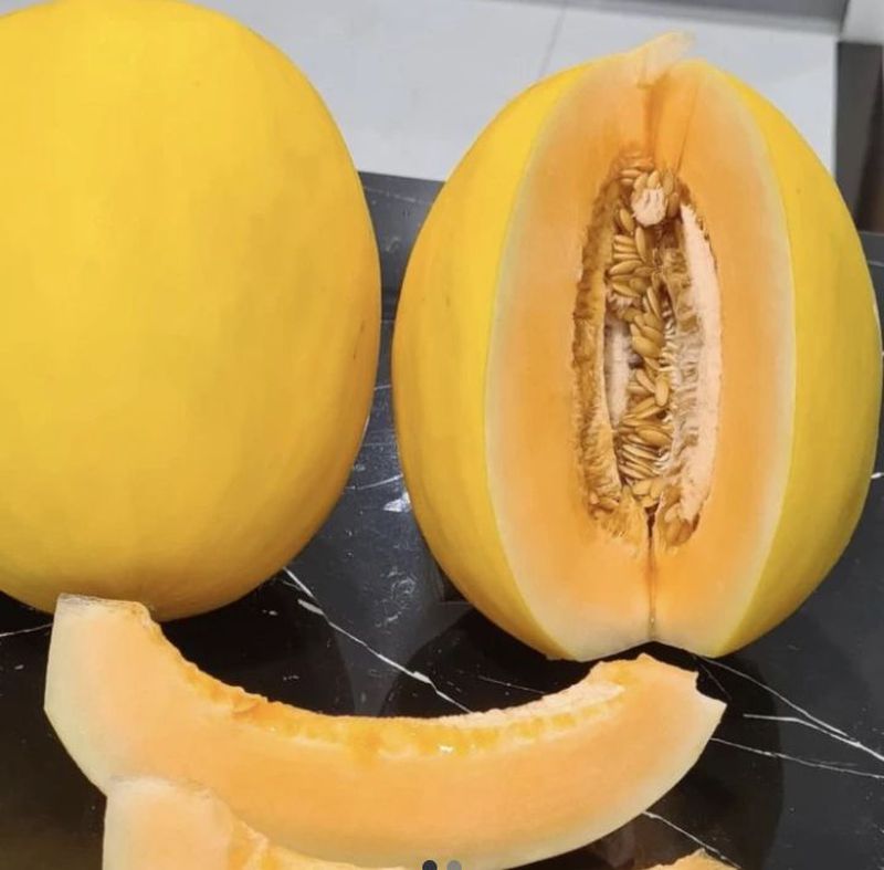 Melon