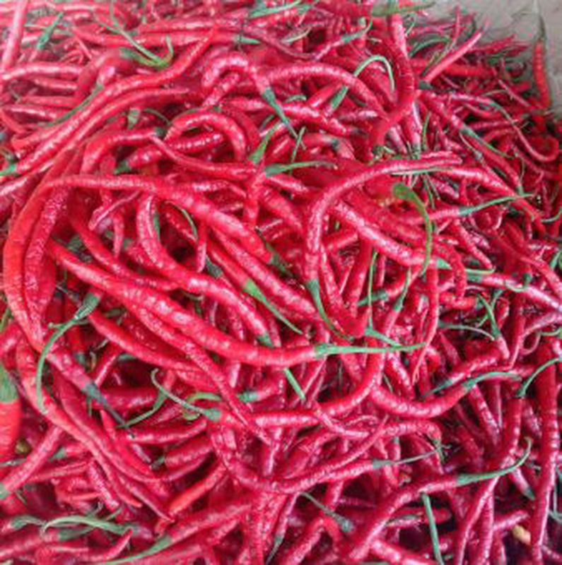 Cabai Merah