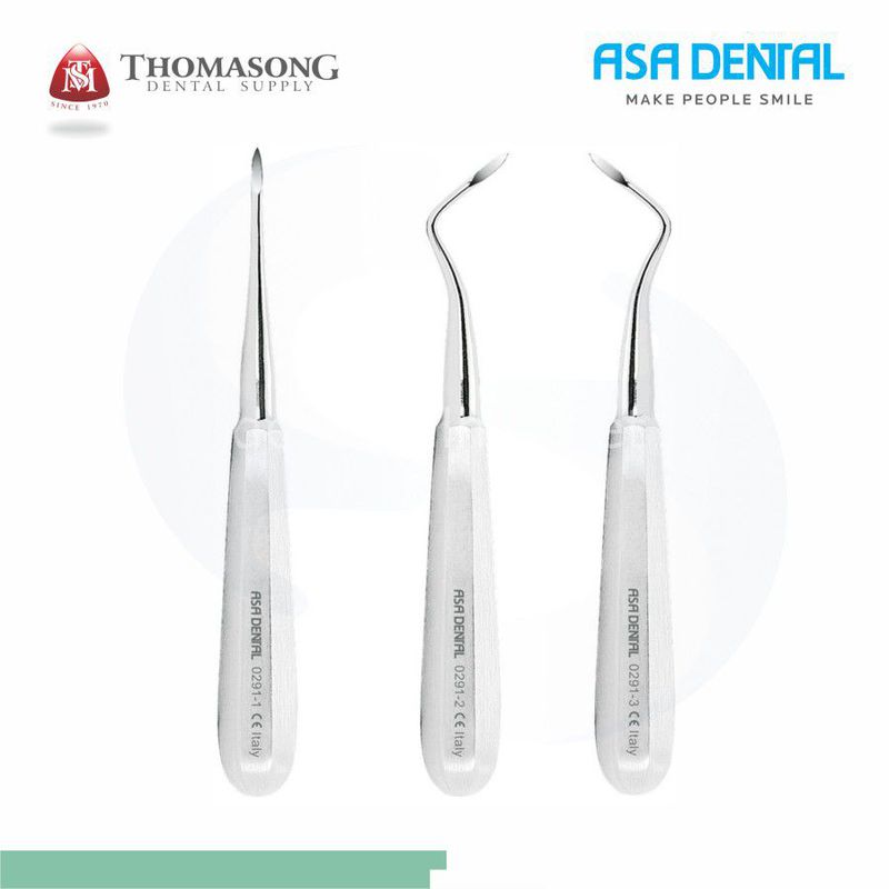 Root elevators with stainless steel handle ASA DENTAL - 0291-3