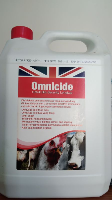 DESINFEKTAN OMNICIDE 5L