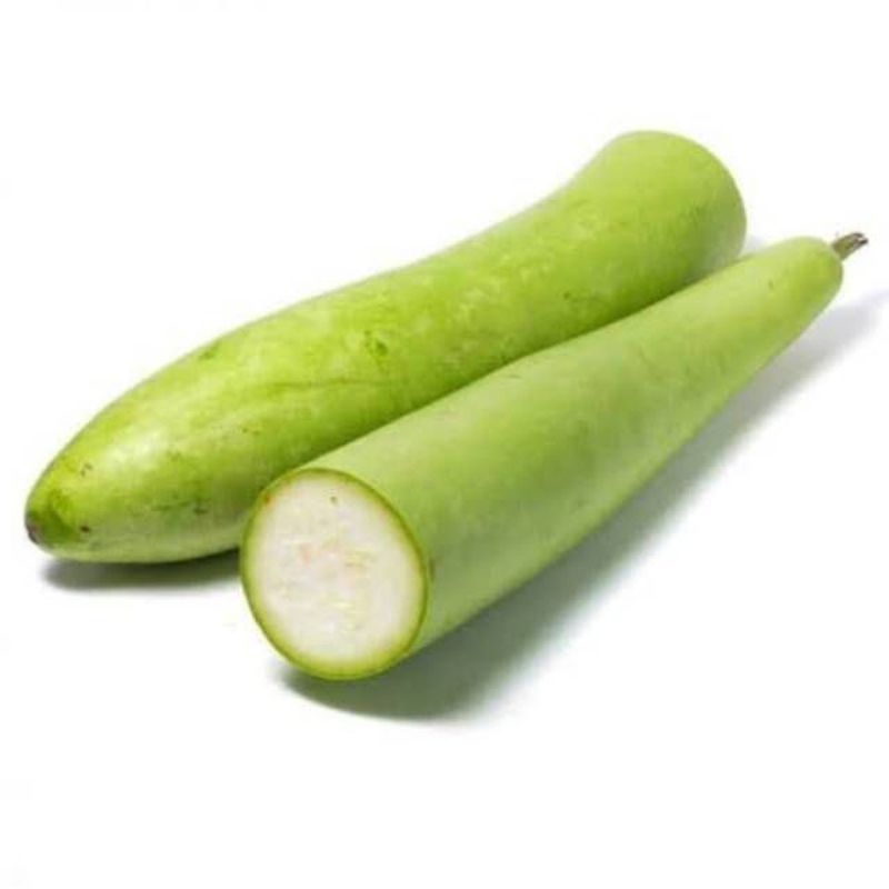 LABU PANJANG SAYUR