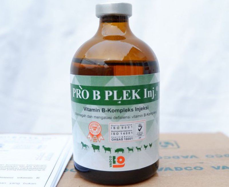 Pro B Plek inj 100ml