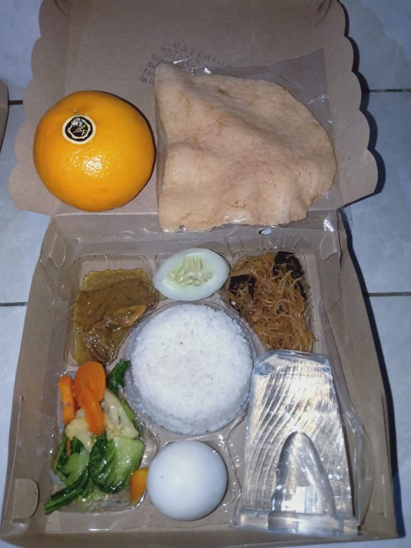 nasi kotak ( lapis daging plus buah )