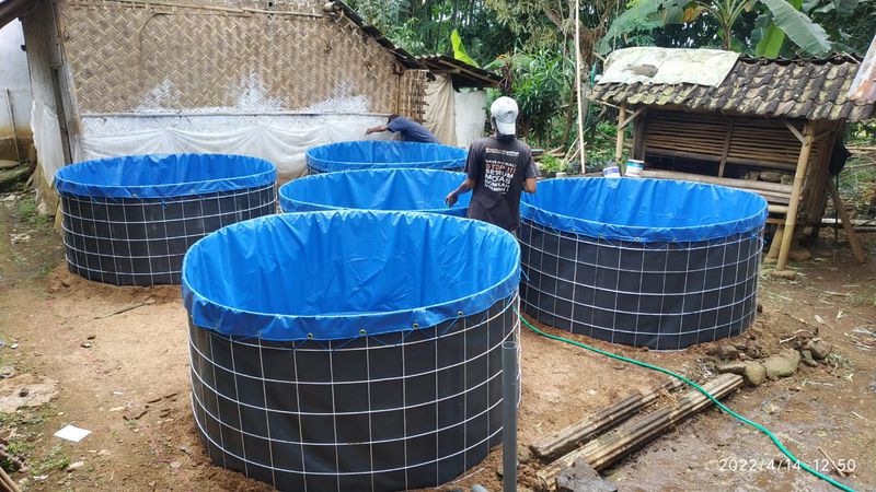 Kolam Terpal Bulat - D2 T1,2