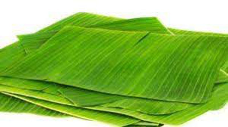Daun Pisang