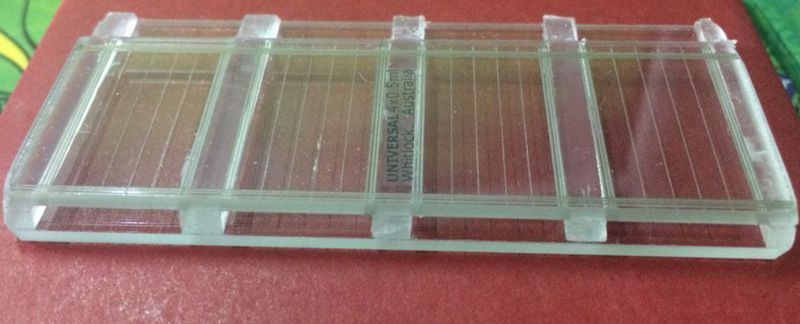 3 Chamber McMaster Slide atau slide penghitung telur made in USA