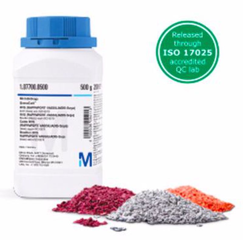 EC (Escherichia coli) broth for microscopy 500 gr