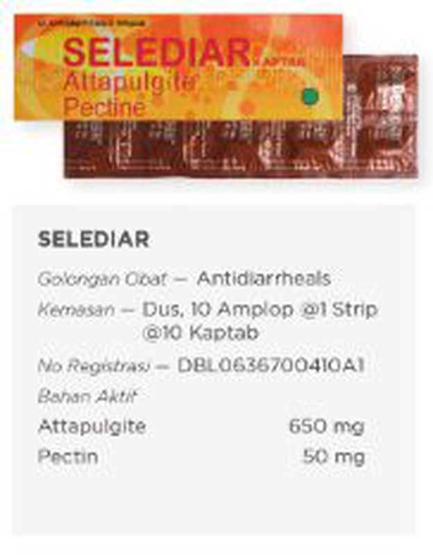 SELEDIAR KAPTAB BOX/100_SELES