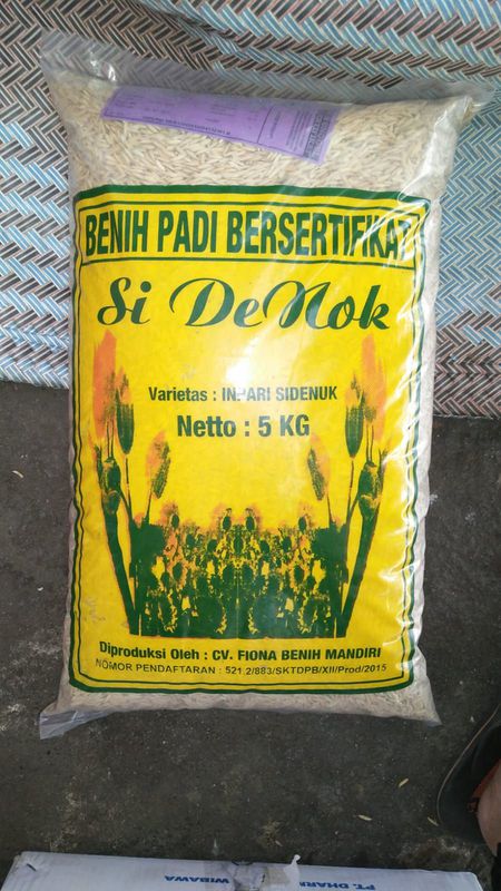 Benih padi Si Denok