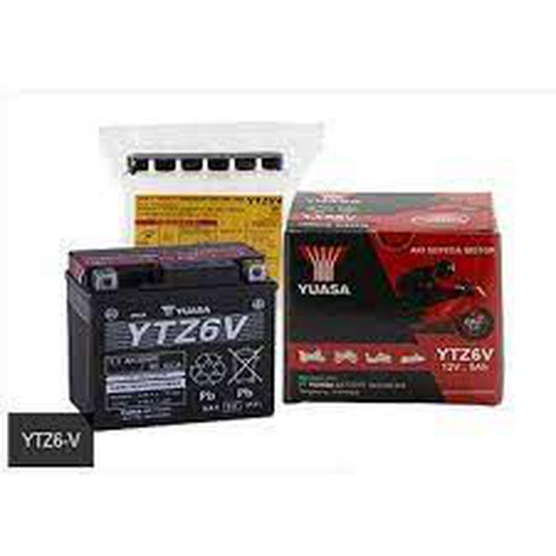 Battery YTZ6-V