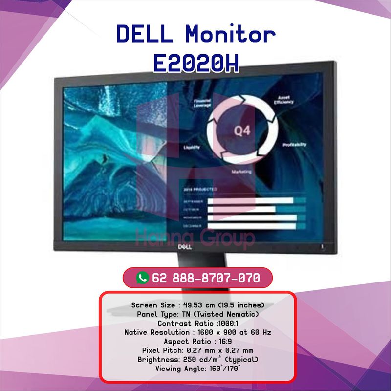 DELL Monitor E2020H