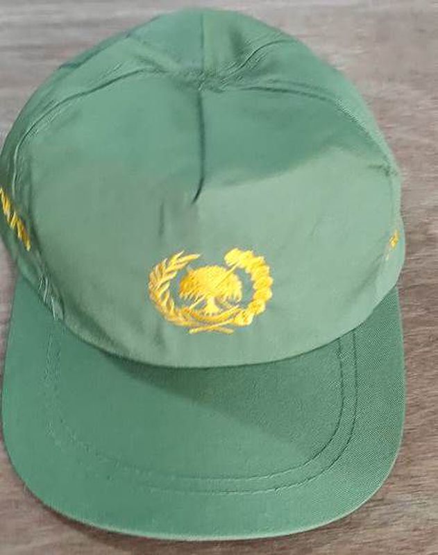Topi LINMAS