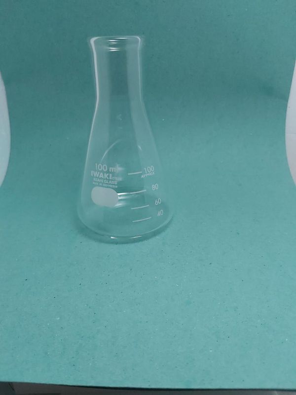 4980FK100 Erlenmeyer Flask, 100 ml, Iwaki