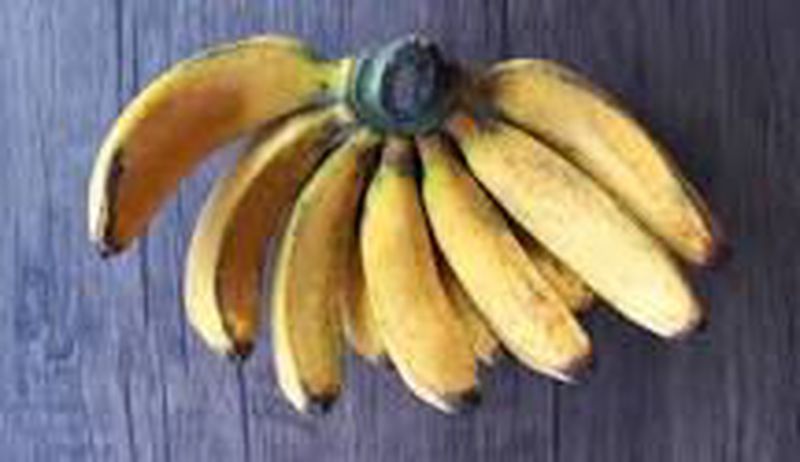 083LU - Pisang Raja