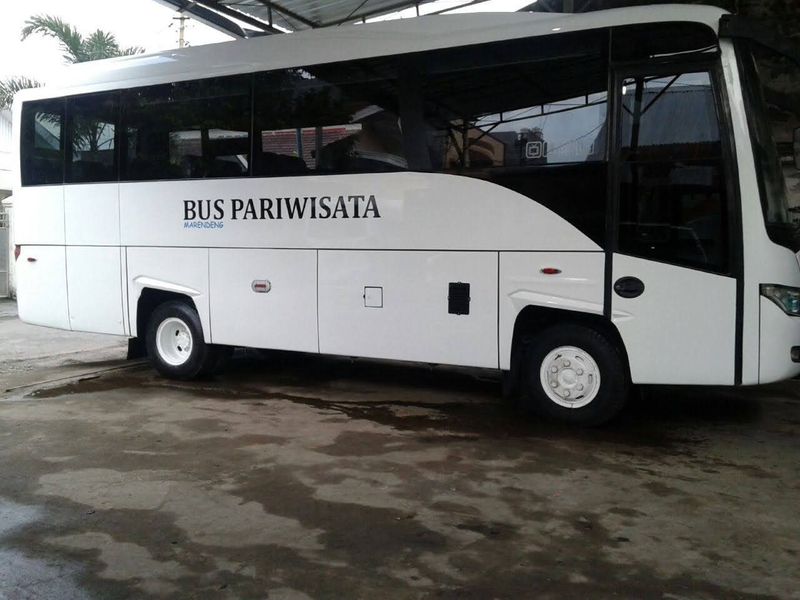 Bus Pariwisata