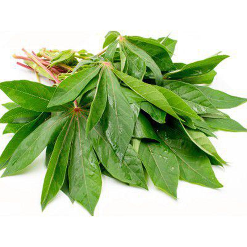 Daun singkong
