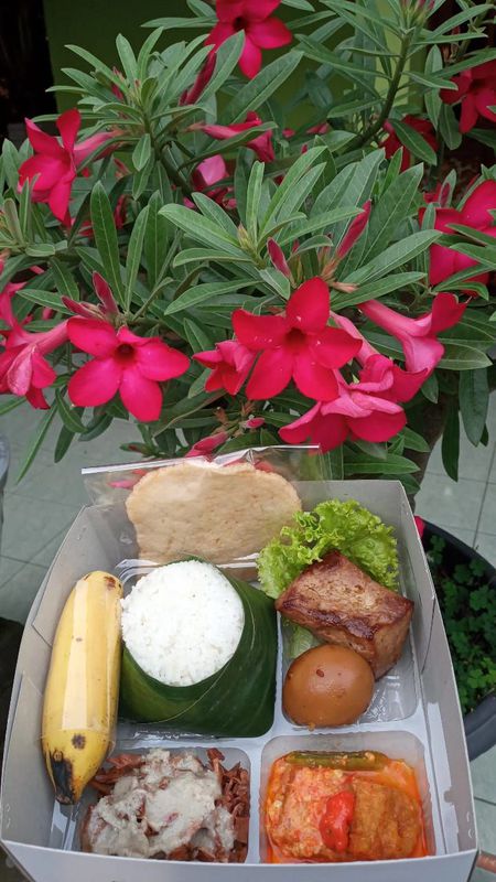 Paket Gudeg Nasi Box - Tahu Telur - Dengan Snack