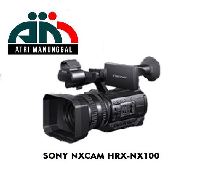 SONY NXCAM HRX-NX100