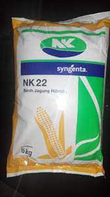 Bibir Jagung NK22 SUPER JUMBO