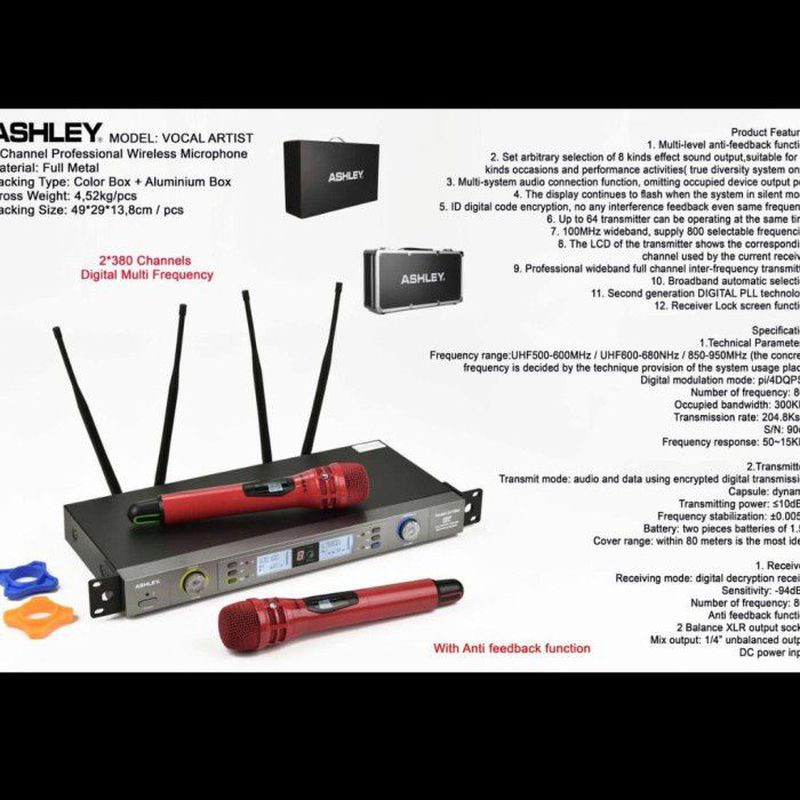 Mic Wireless Profesional