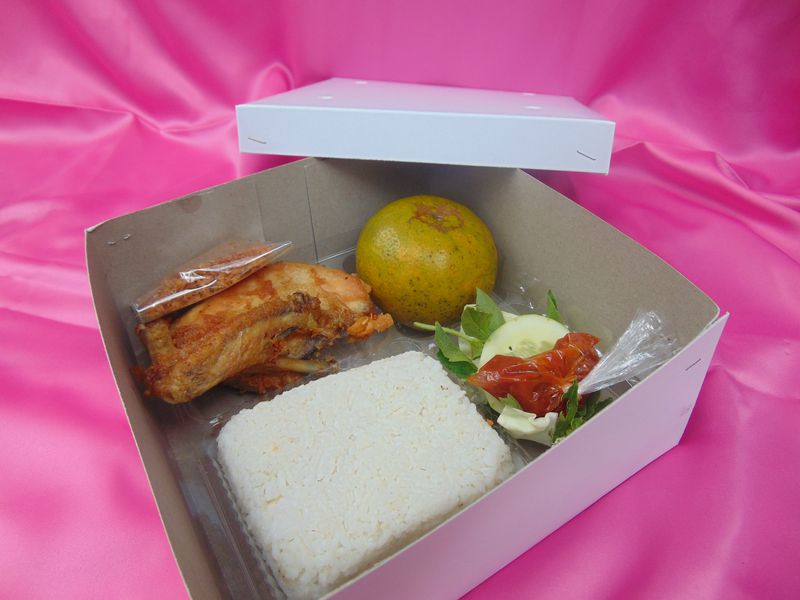 Paket Nasi Box Ayam Goreng/ Bakar/ Daging Sapi/ Fillet Ikan