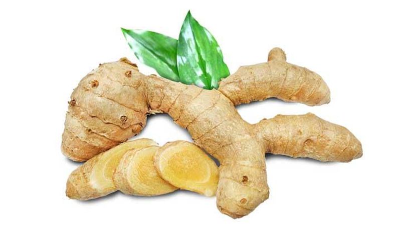 Rimpang Kunyit Putih