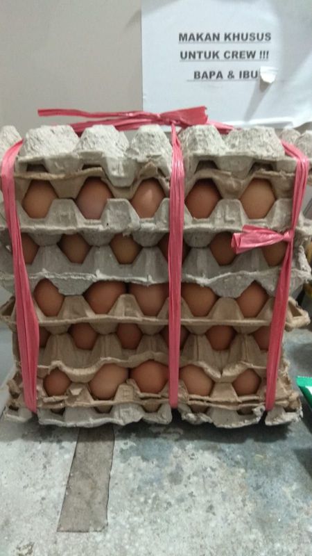 Telur Ayam