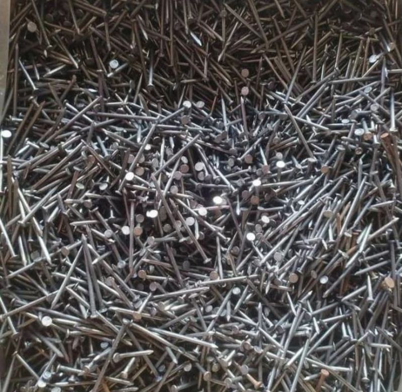 Paku Kayu Berbagai Ukuran / Kilogram - 7cm