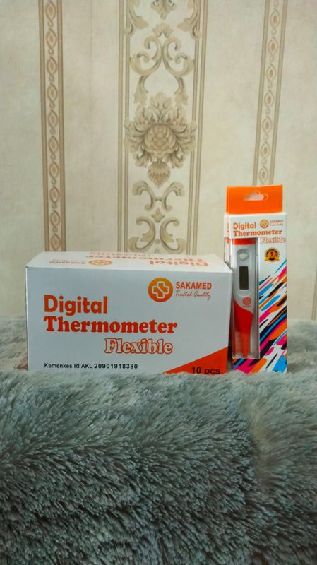 Thermometer Digital